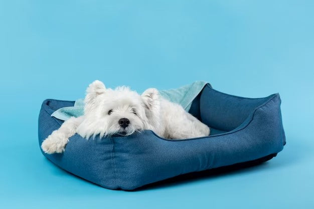 Dog Beds – Snuggly Pets